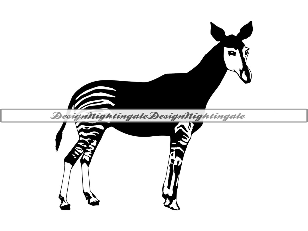 Okapi SVG Safari Svg Okapi Clipart Okapi Files for Cricut - Etsy
