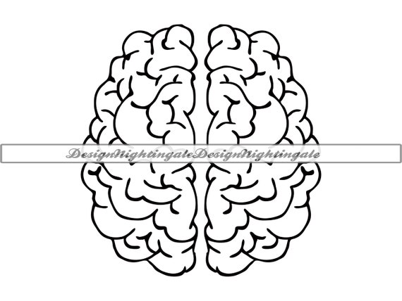 Brain SVG Human Brain SVG Brain Clipart Brain Files for - Etsy