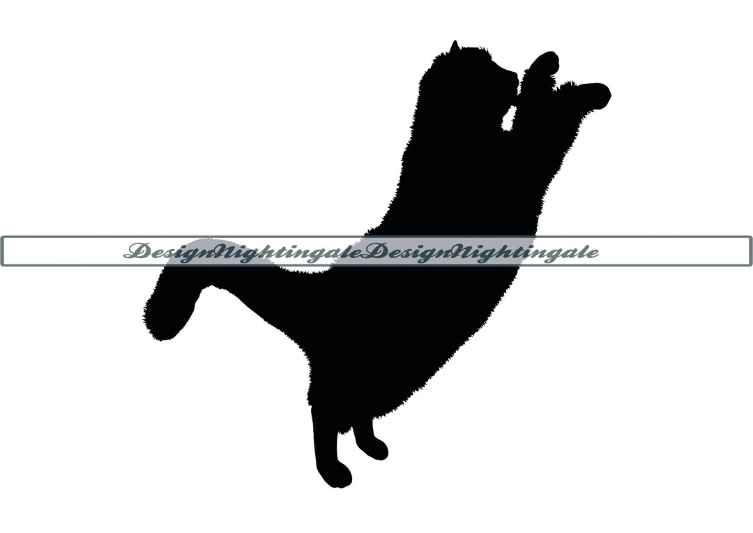 Fluffy Cat SVG, Fluffy Cat Clipart, Fluffy Cat Files for Cricut, Fluffy ...