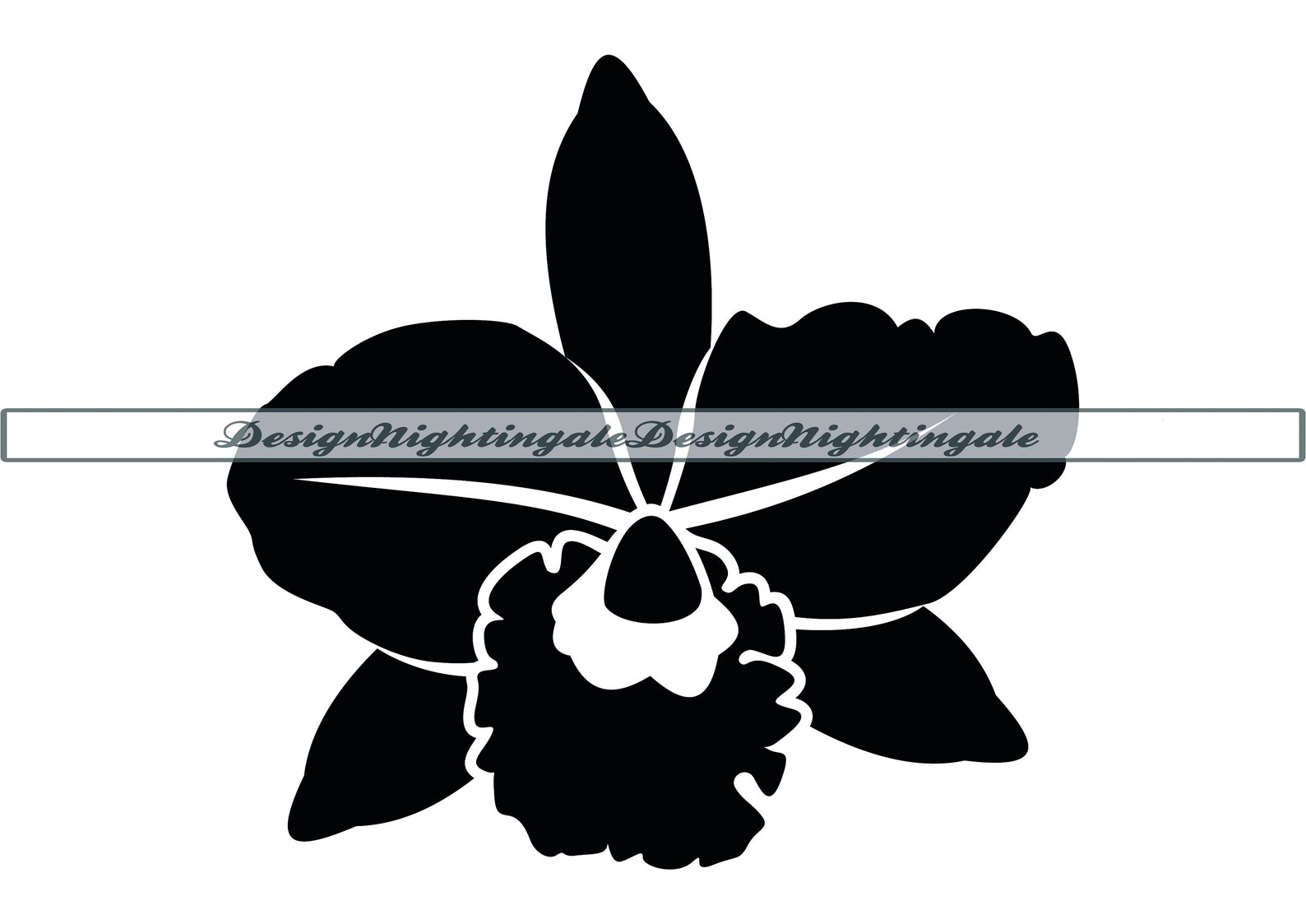 Orchid SVG Orchid Flower SVG Flower SVG Orchid Clipart - Etsy