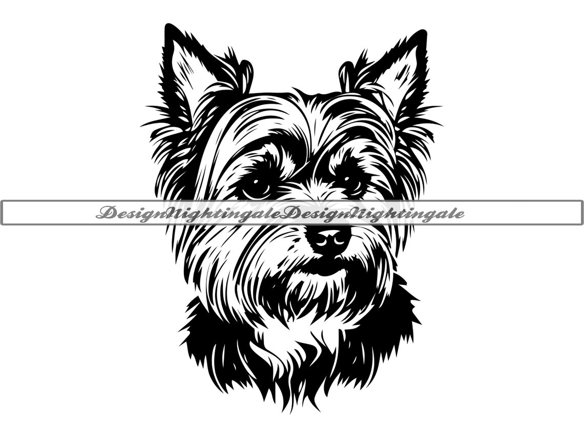 Yorkshire Terrier SVG Yorkshire Terrier Face SVG Yorkshire - Etsy