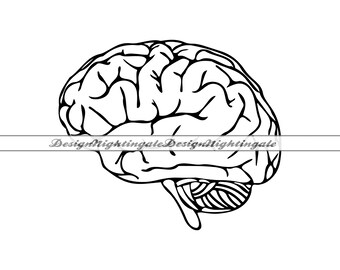 Brain 2 SVG, Brain Svg, Brain Clipart, Brain Files for Cricut, Brain ...