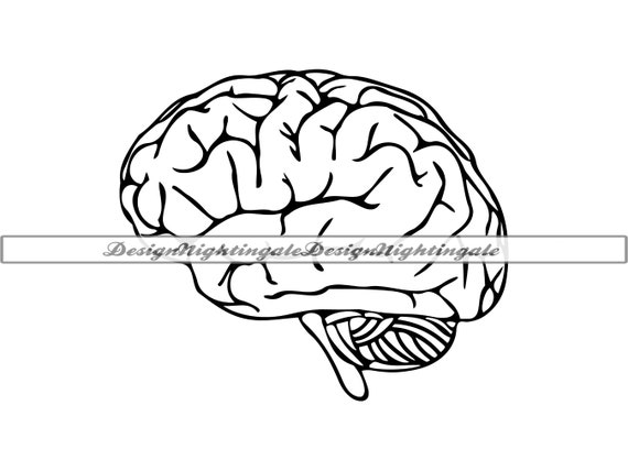 Cervello Vettore Png Vettore Icona Cervello, Icona Del Cervello,