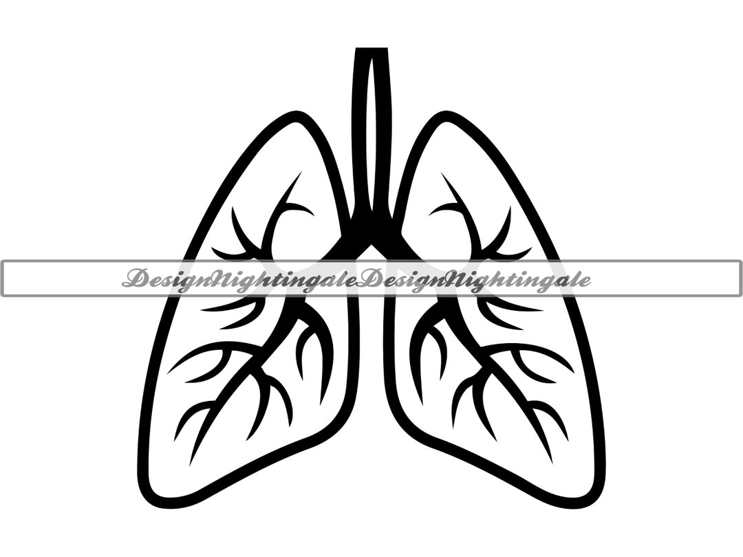 Lungs #2 SVG, Human Lungs SVG, Lung SVG, Lungs Clipart, Lungs Files for ...