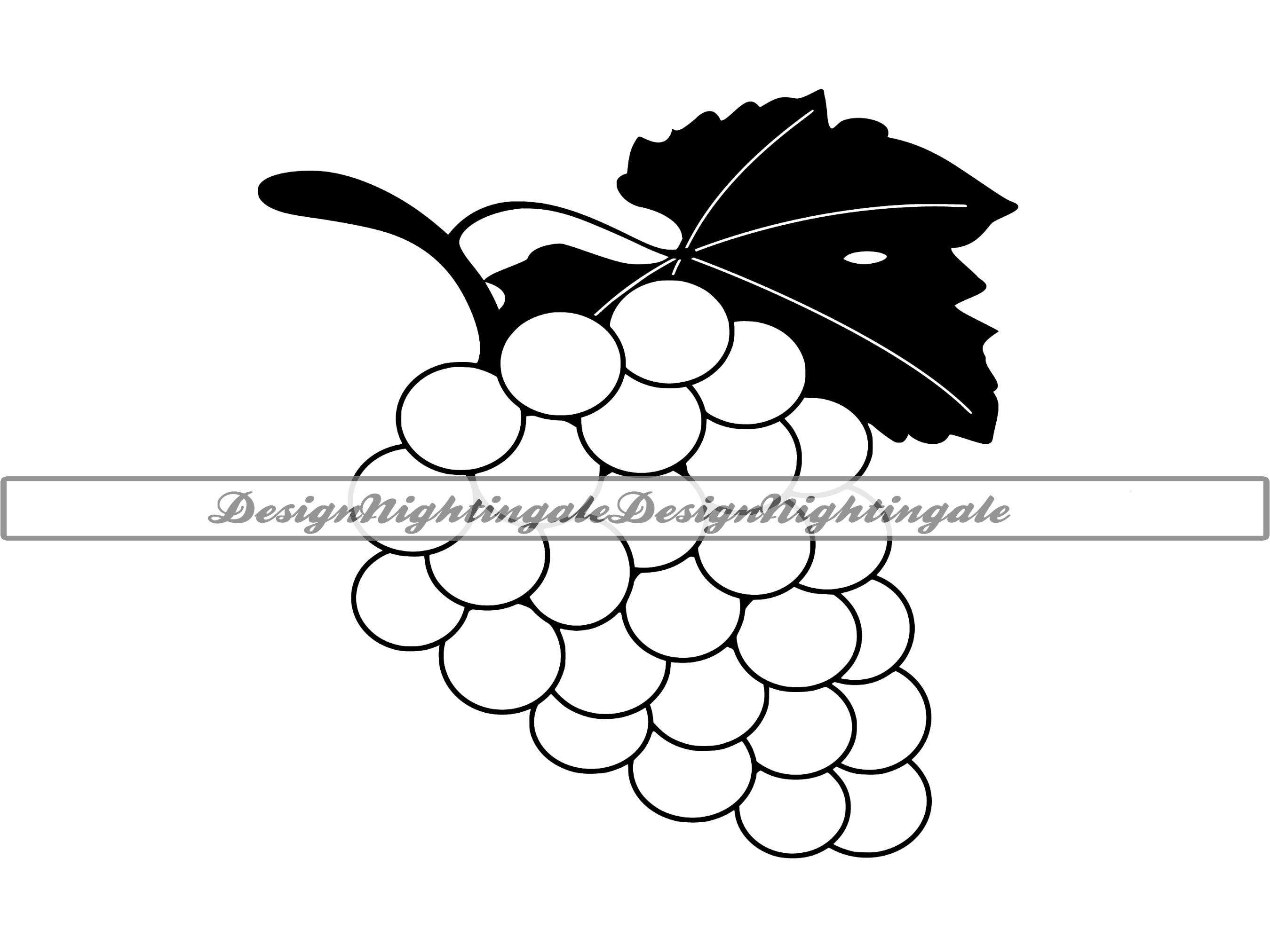Grapes Outline SVG Grape SVG Fruit SVG Grapes Clipart - Etsy Canada