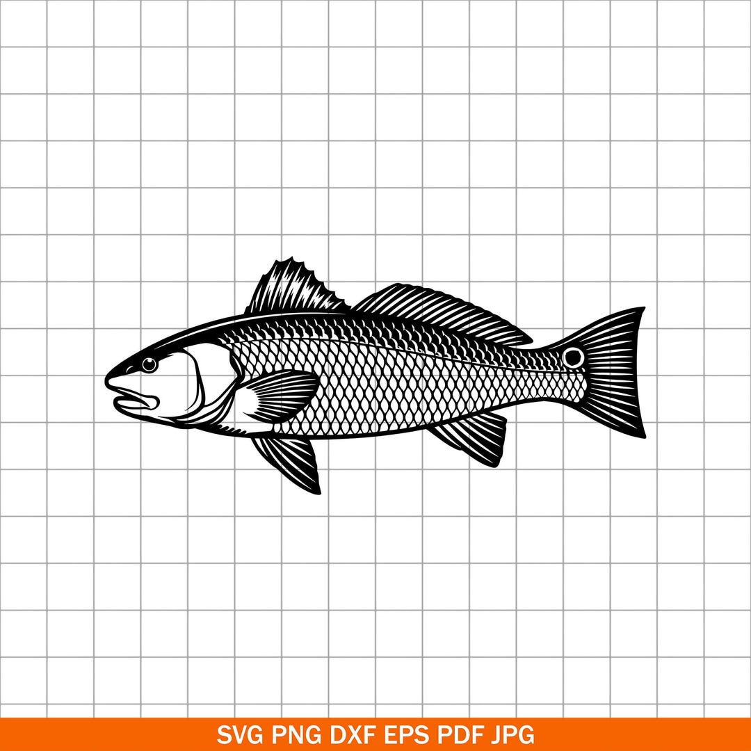 Redfish SVG PNG DXF, Red Drum Cut File, Fishing Decor - Etsy