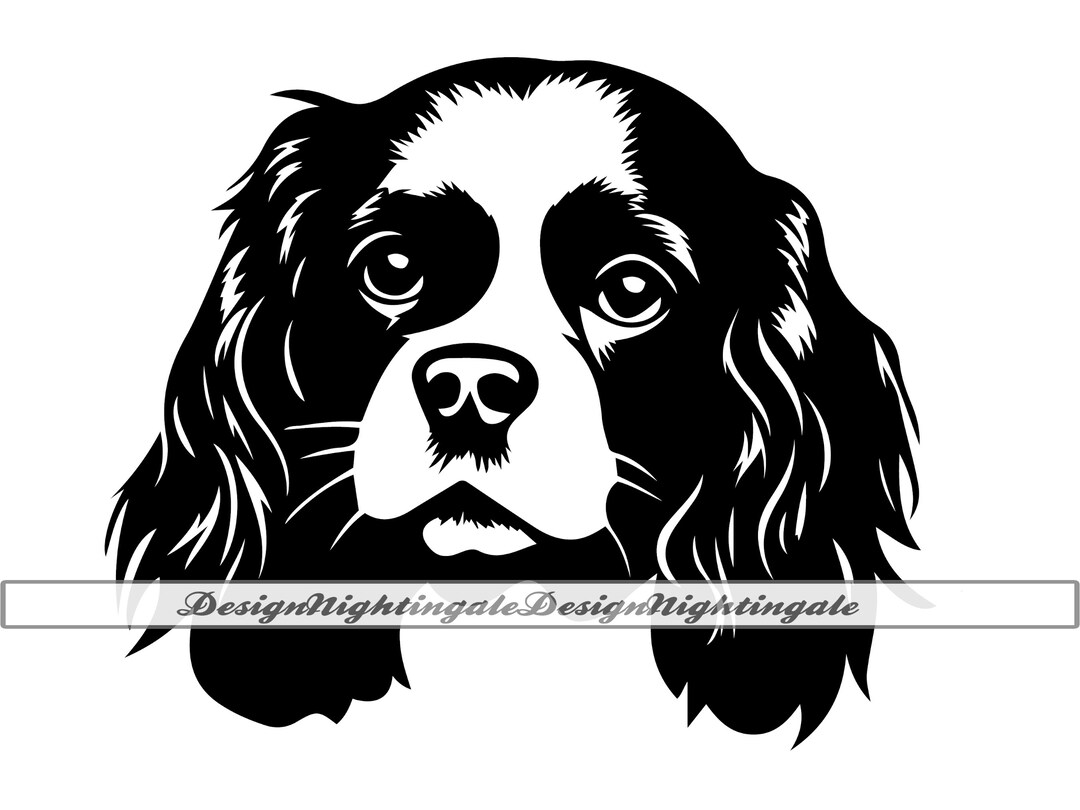 Cavalier King Charles Spaniel SVG, Cavalier King Charles Spaniel ...