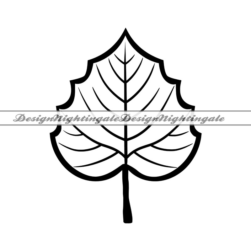 Aspen Tree Svg - Etsy