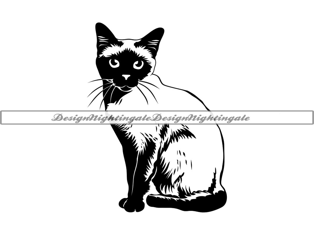 Siamese Cat SVG, Siamese Cat Clipart, Siamese Cat Files for Cricut ...