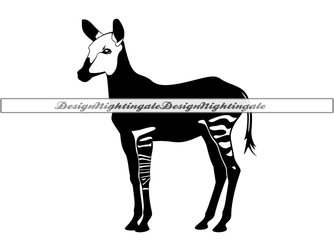 Okapi SVG, Safari Svg, Okapi Clipart, Okapi Files for Cricut, Okapi Cut ...