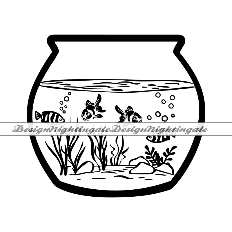 Fish Tank - Etsy