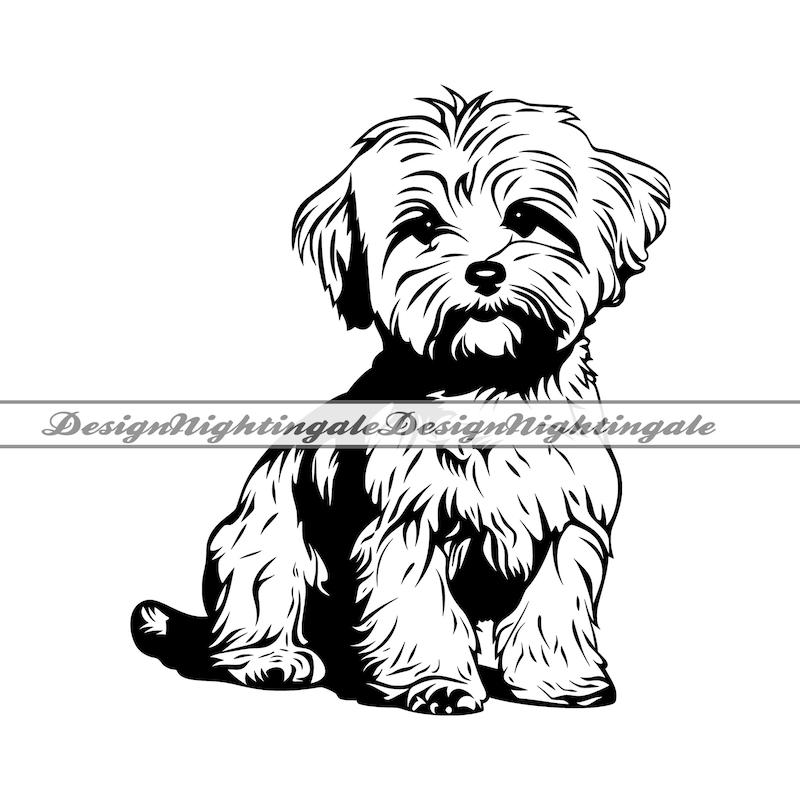 Maltese Dog in T Shirts - Etsy