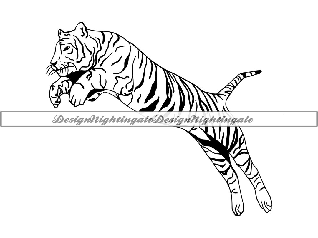 Jumping Tiger SVG, Tiger SVG, Tiger Outline SVG, Tiger Clipart, Tiger ...