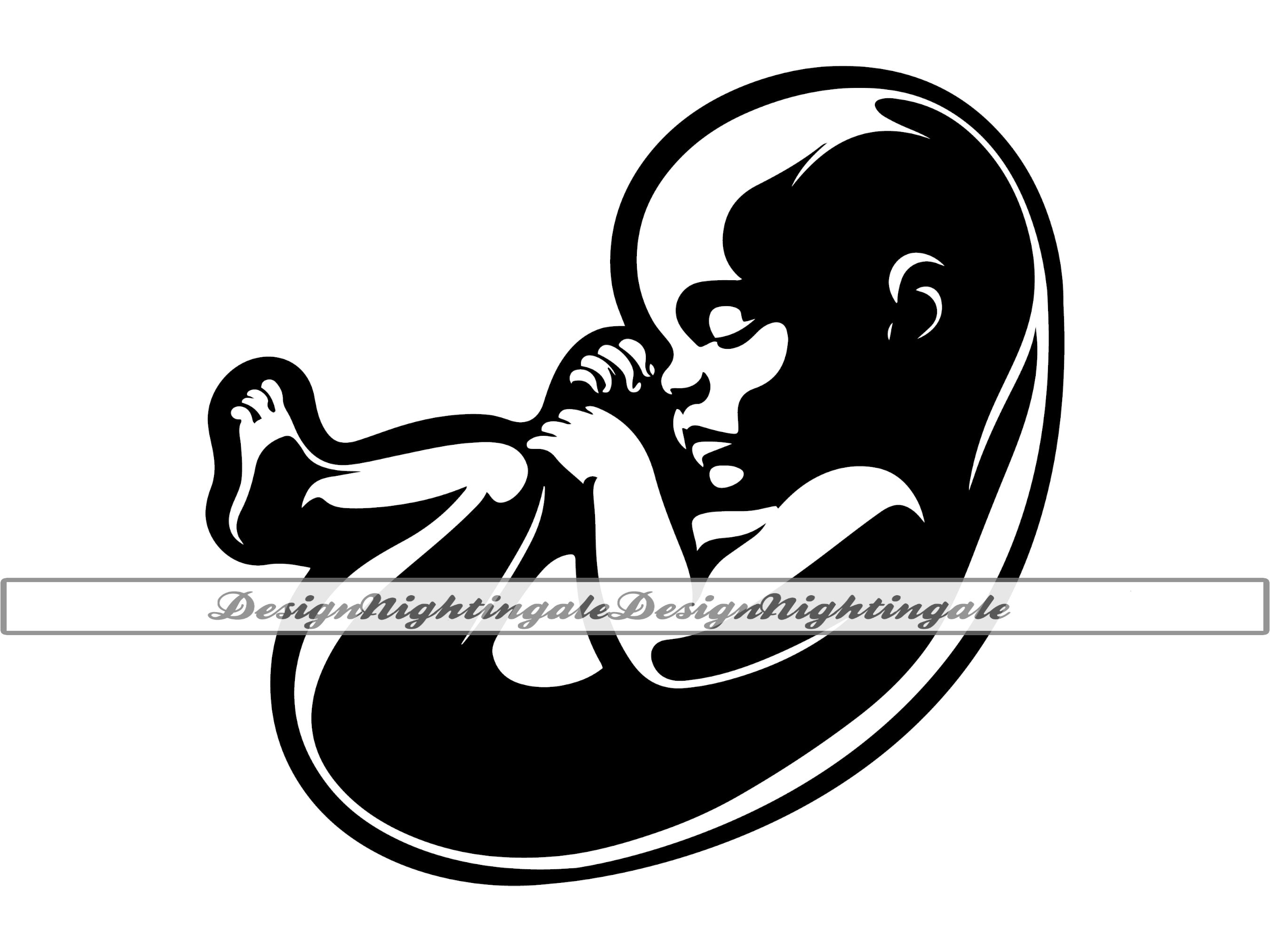 Fetus Silhouette Png