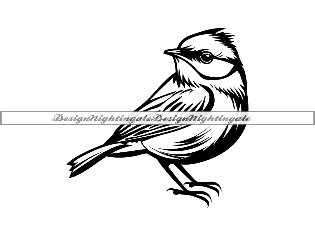 Bluebird SVG, Pet Bird Svg, Avian Svg, Bluebird Clipart, Bluebird Files ...