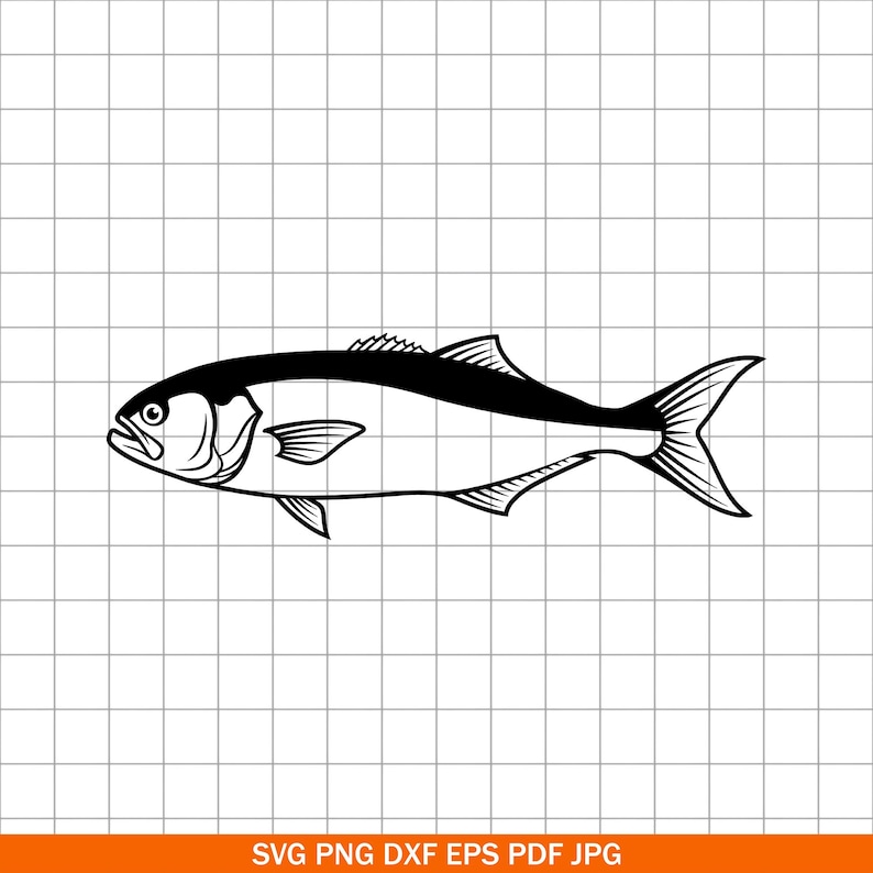 Bluefish SVG PNG DXF, Bluefish Cut File, Tailor Fish Vector Clipart for ...