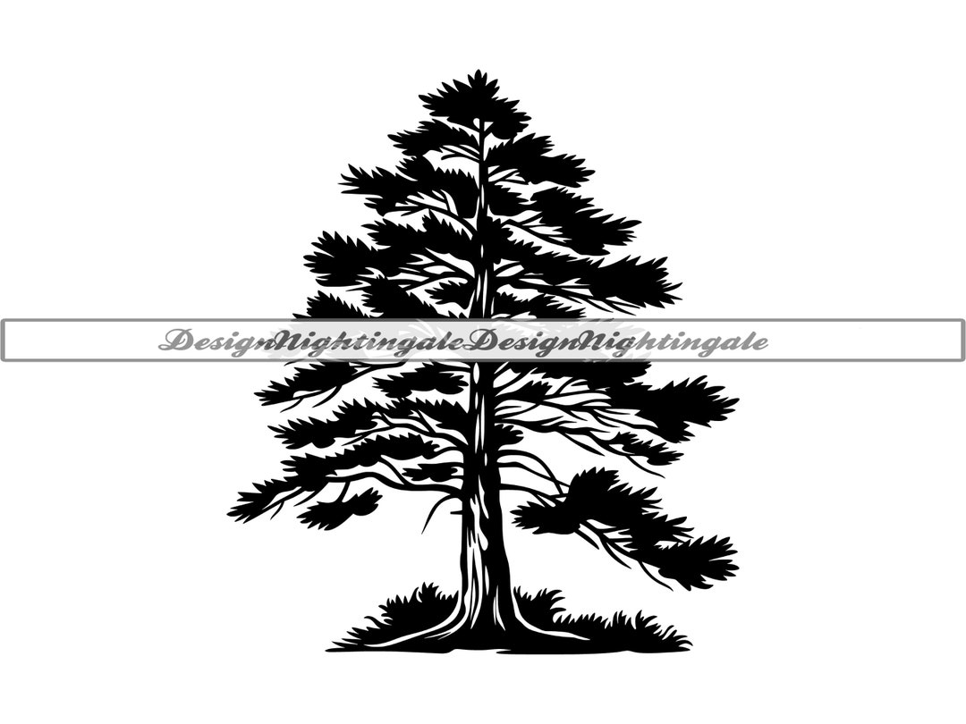Cedar Tree SVG, Evergreen Tree Svg, Cedar Tree Clipart, Cedar Tree ...