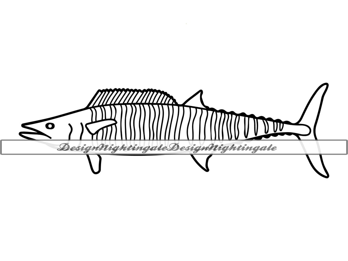 Wahoo Fish SVG Wahoo Fish Outline SVG Fish Svg Wahoo Fish - Etsy