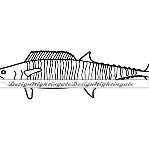 Wahoo Fish SVG, Wahoo Fish Outline SVG, Fish Svg, Wahoo Fish Clipart ...