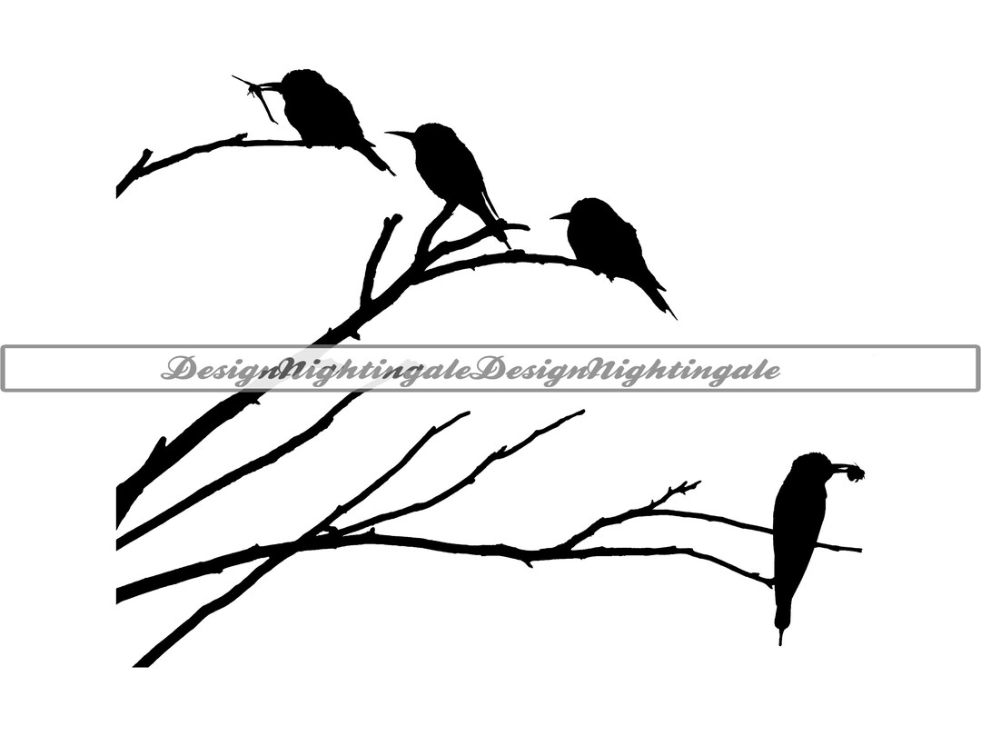 Birds on Tree Branch #3 SVG, Bird on Branch SVG, Tree Branch Svg ...