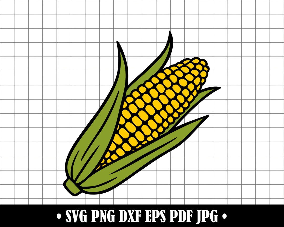 Corn on the Cob SVG, Corn PNG, Corn DXF, Farm Fresh Corn Clipart ...