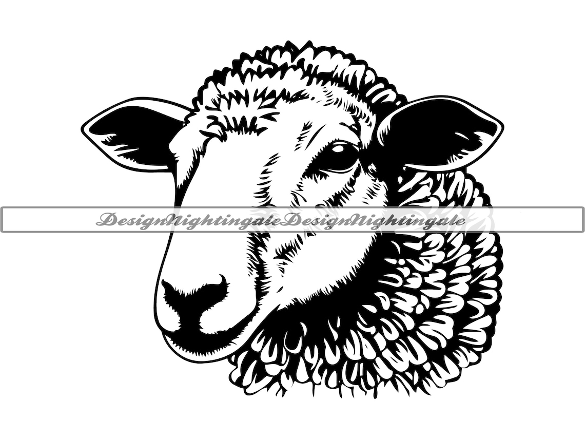 Sheep Face SVG, Realistic Sheep Face SVG, Sheep SVG, Sheep Clipart ...