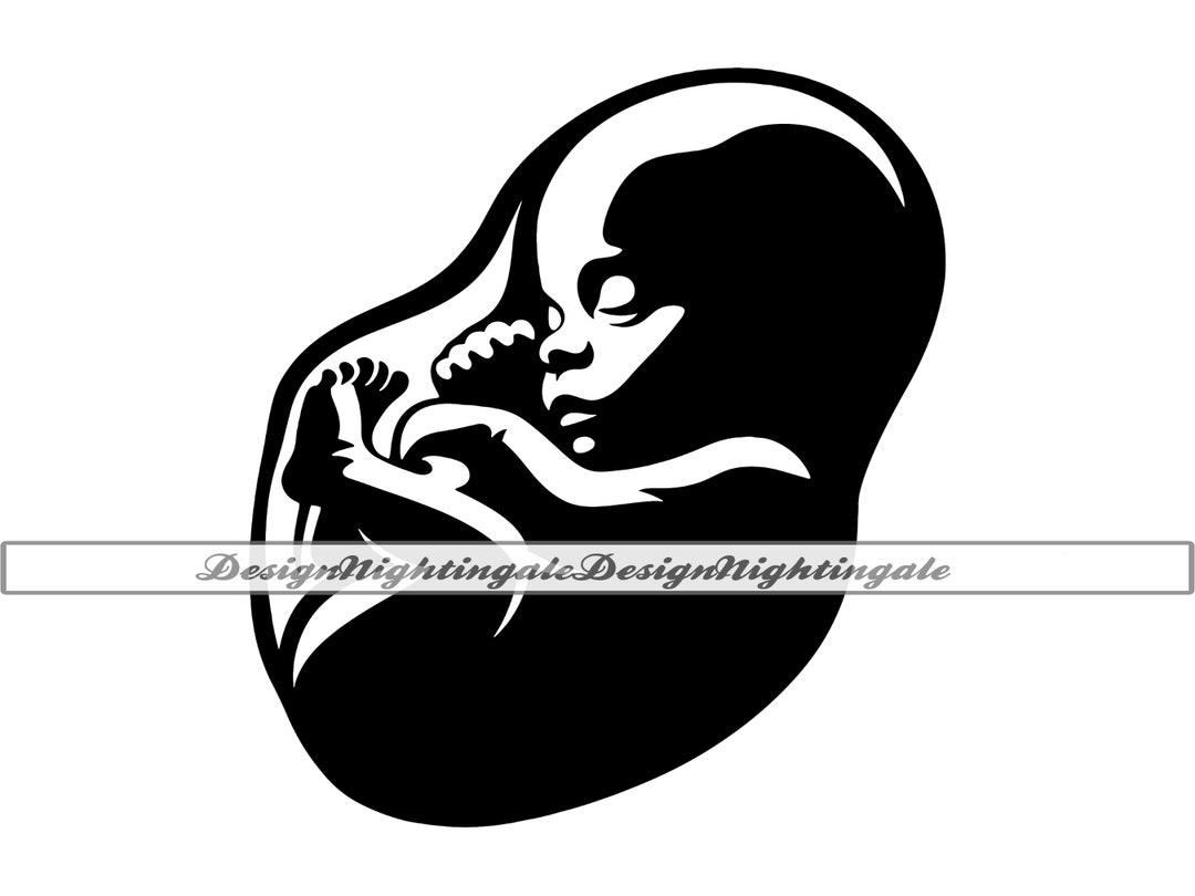 Fetus #3 SVG, Fetus Silhouette SVG, Baby Silhouette SVG, Fetus Clipart ...