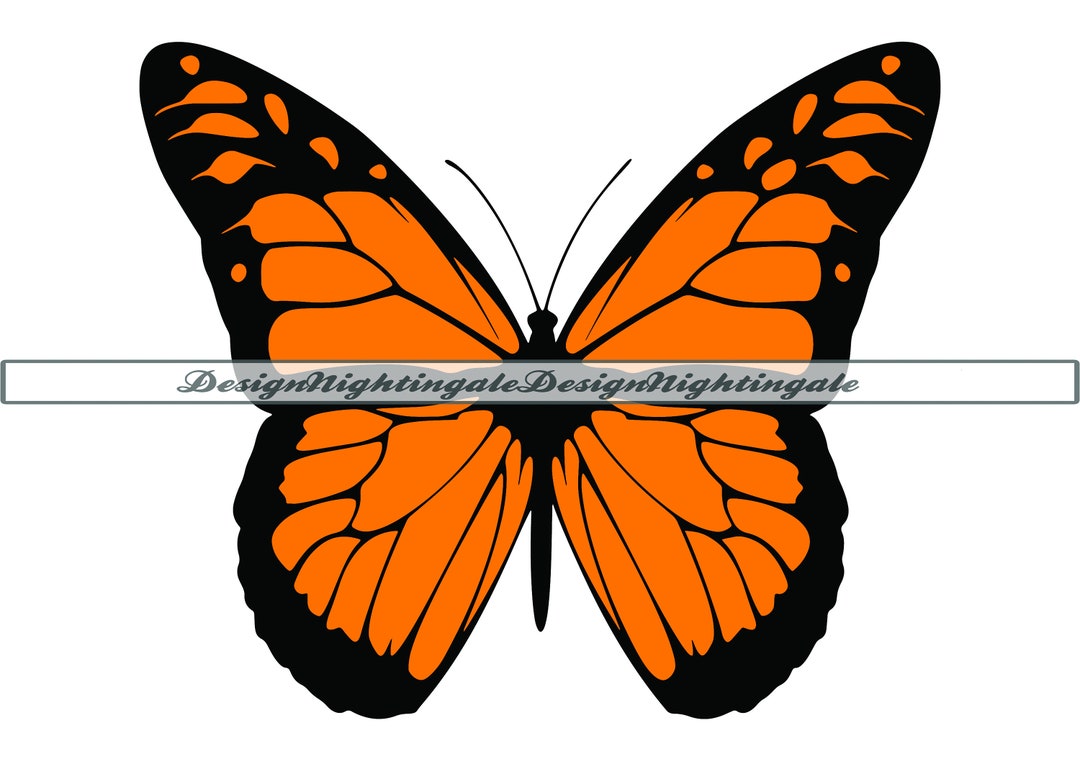 Monarch Butterfly SVG, Butterfly Svg, Monarch Butterfly Clipart ...