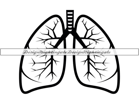 Lungs Clipart Black And White