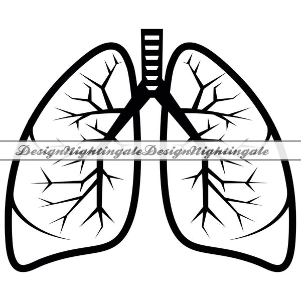 Lung Svg - Etsy