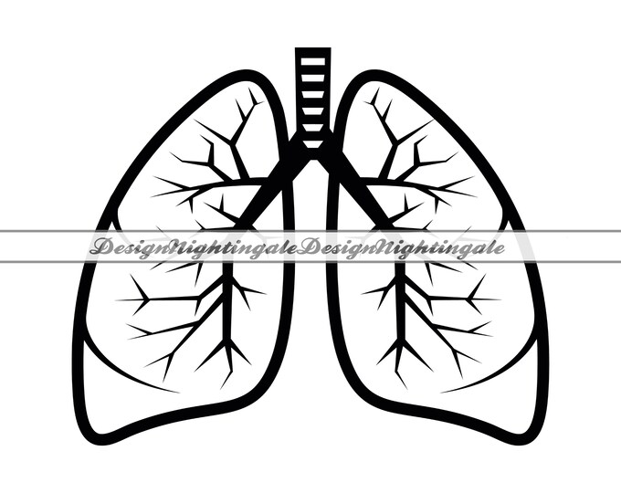 Lungs SVG, Lungs Cut File, Lungs DXF, Lungs PNG, Lungs Clipart, Lungs ...