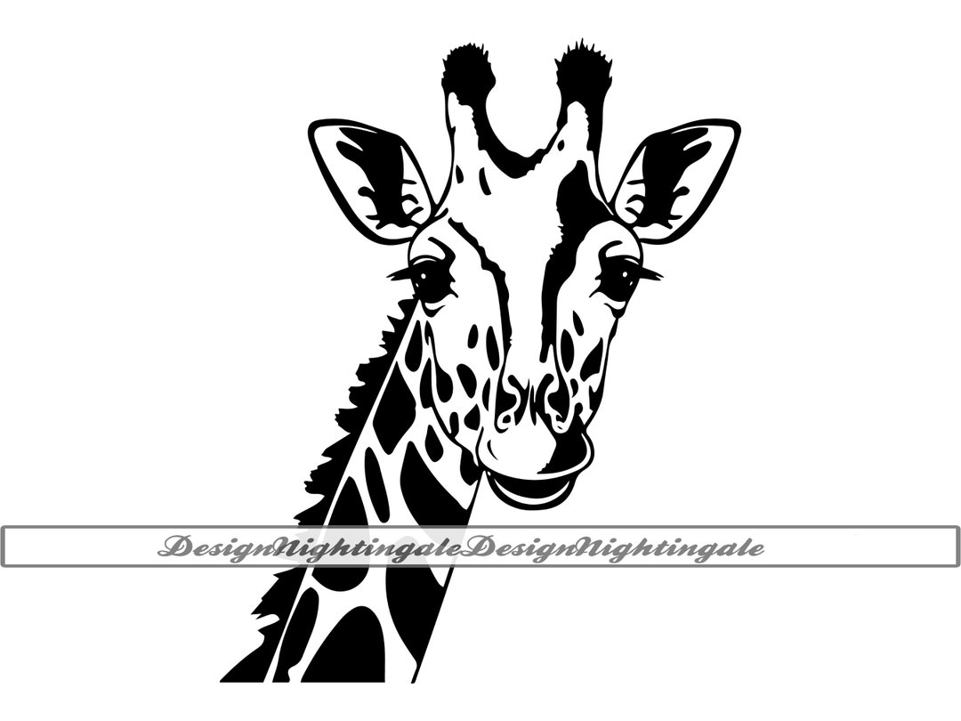 Giraffe Face #2 SVG, Giraffe Head SVG, Giraffe SVG, Giraffe Clipart ...