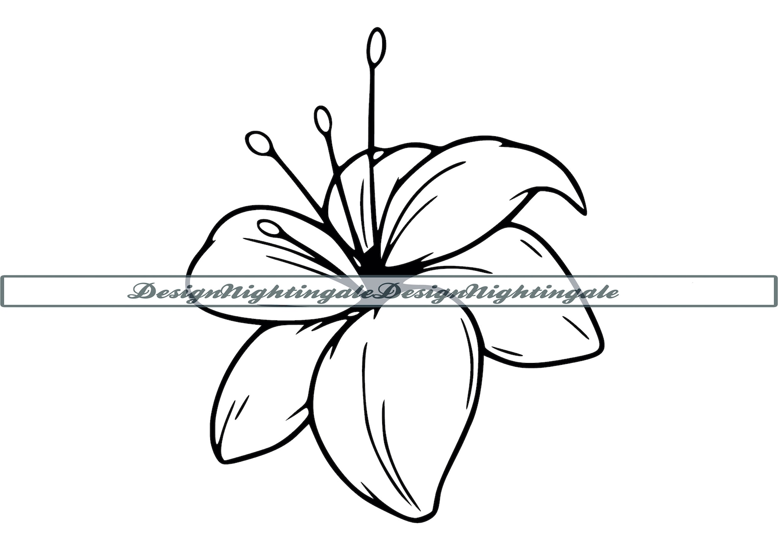 Lily Flower SVG, Lily SVG, Flower SVG, Lily Flower Clipart, Lily Files ...