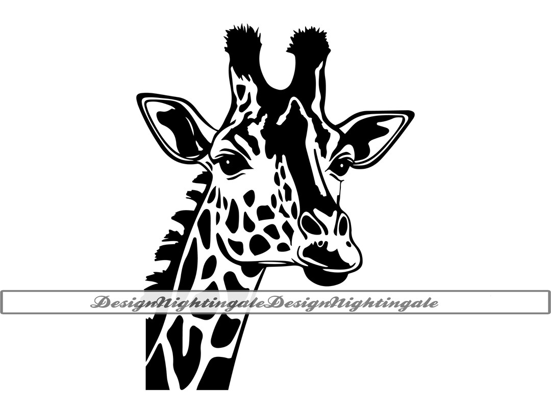 Giraffe Face SVG, Giraffe Head SVG, Giraffe SVG, Giraffe Clipart ...