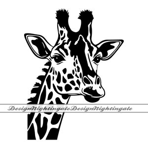 Giraffe Face SVG, Giraffe Head SVG, Giraffe SVG, Giraffe Clipart ...