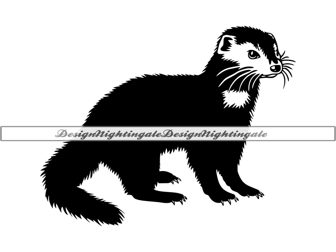 Mink SVG, Forest Creatures Svg, Mink Clipart, Mink Files for Cricut ...