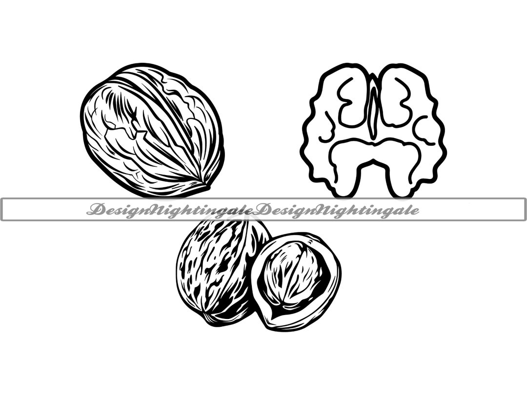 Walnut SVG, Walnut Outline SVG, Nuts Svg, Walnut Clipart, Walnut Files ...