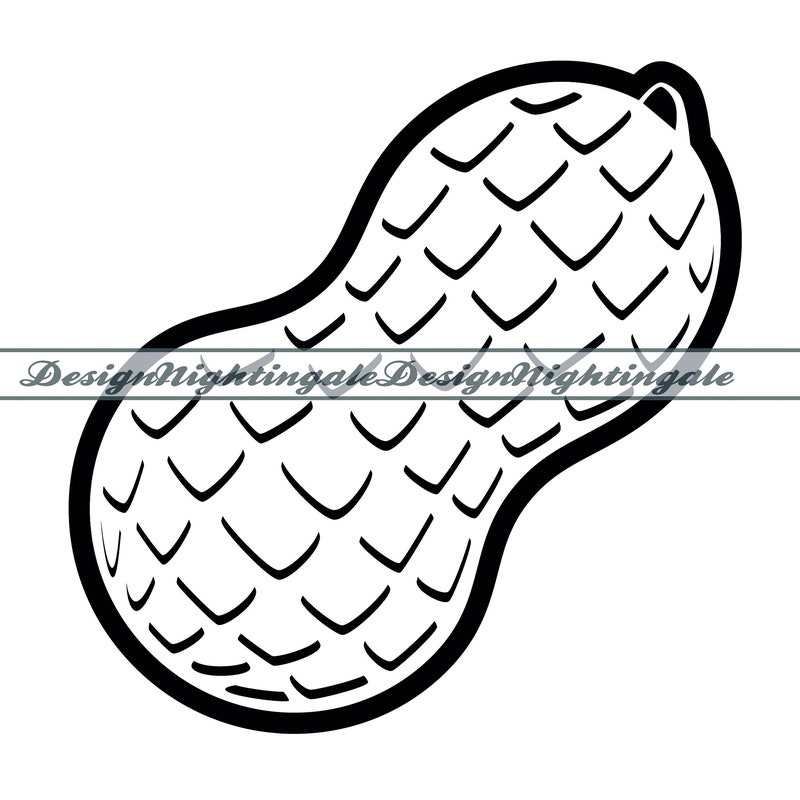 Peanut Svg - Etsy