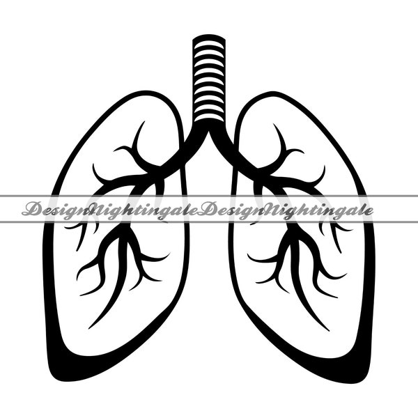 Lungs - Etsy