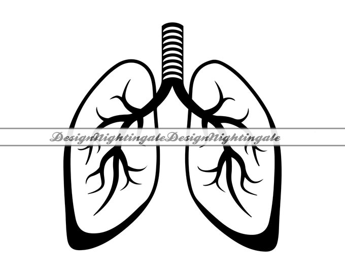 Lungs SVG, Lungs Cut File, Lungs DXF, Lungs PNG, Lungs Clipart, Lungs ...