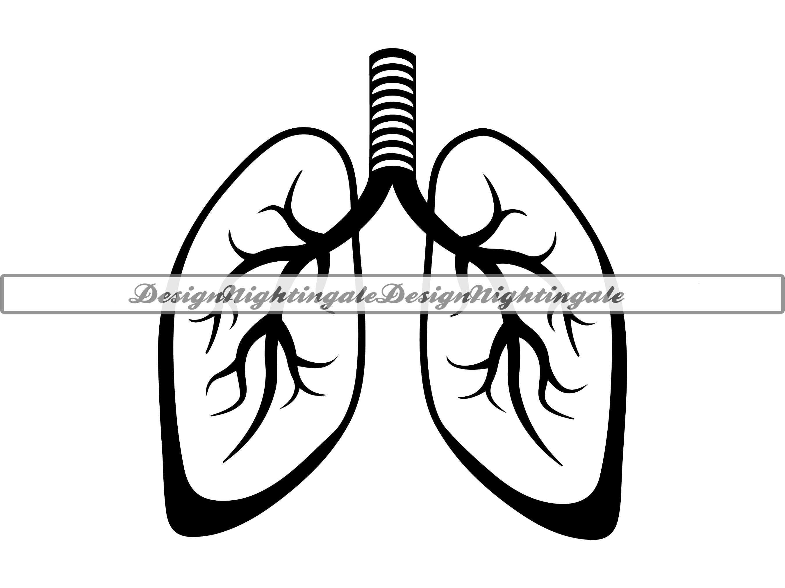 Human Lungs SVG Clipart, Cricut Silhouette Cut Files (digital Download ...