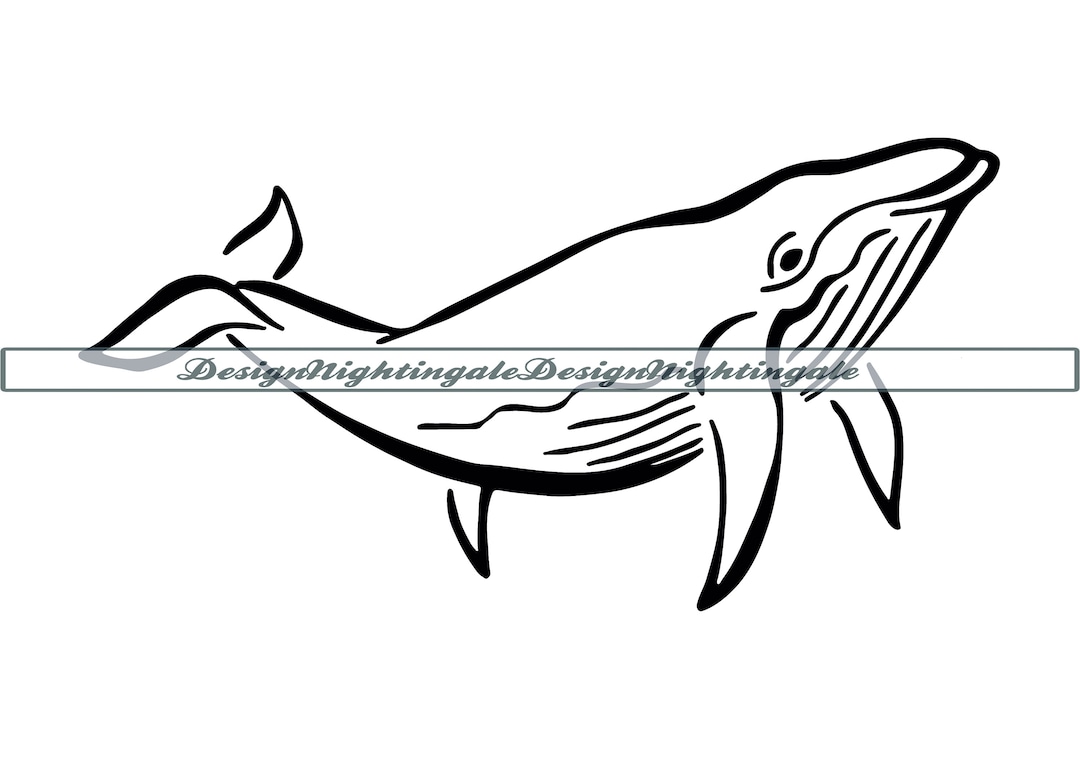 Humpback Whale Outline SVG, PNG, EPS, Vector (digital Download) - Etsy