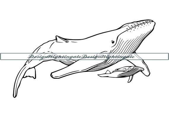 Humpback Whale With Baby SVG Humpback Whale SVG Whale - Etsy Australia