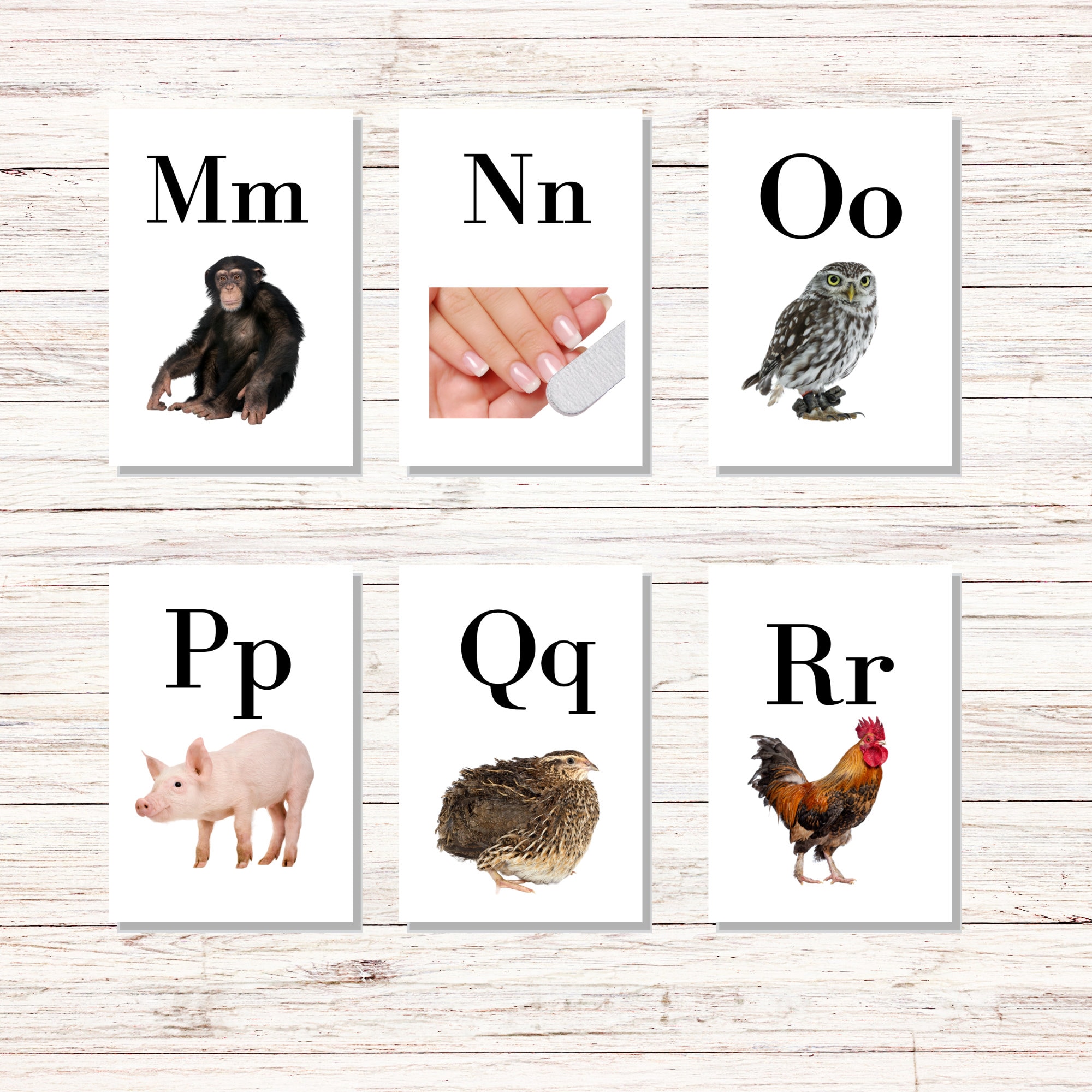 ABC Flashcards- Nature- Montessori-preschool Learning-matching Game - Etsy