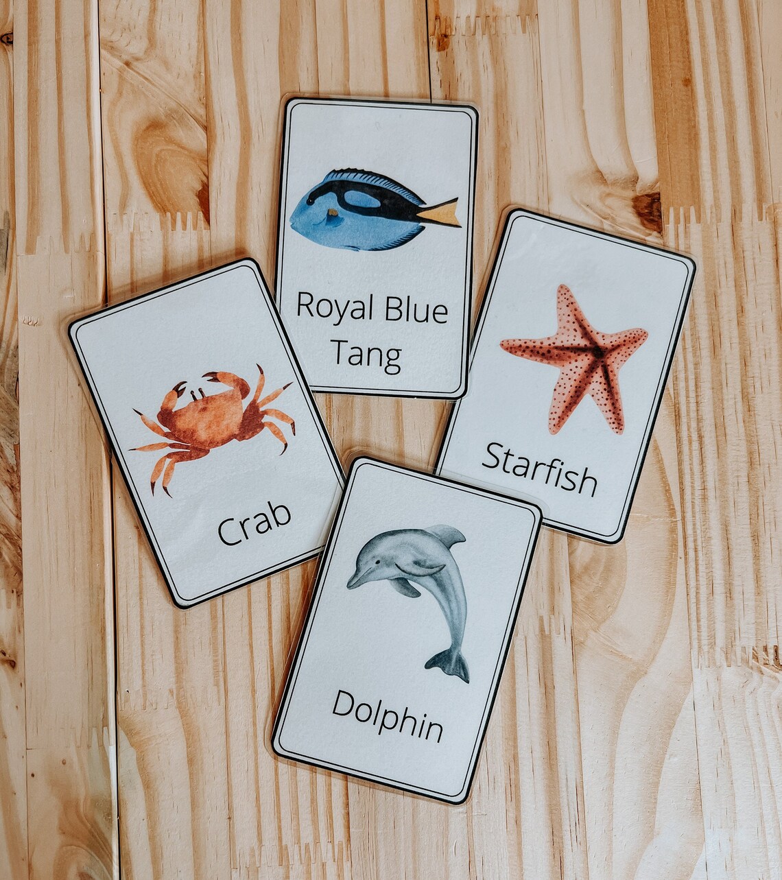 Watercolor Fish- Study Card, 3 Part Card - Montessori Inspired ...