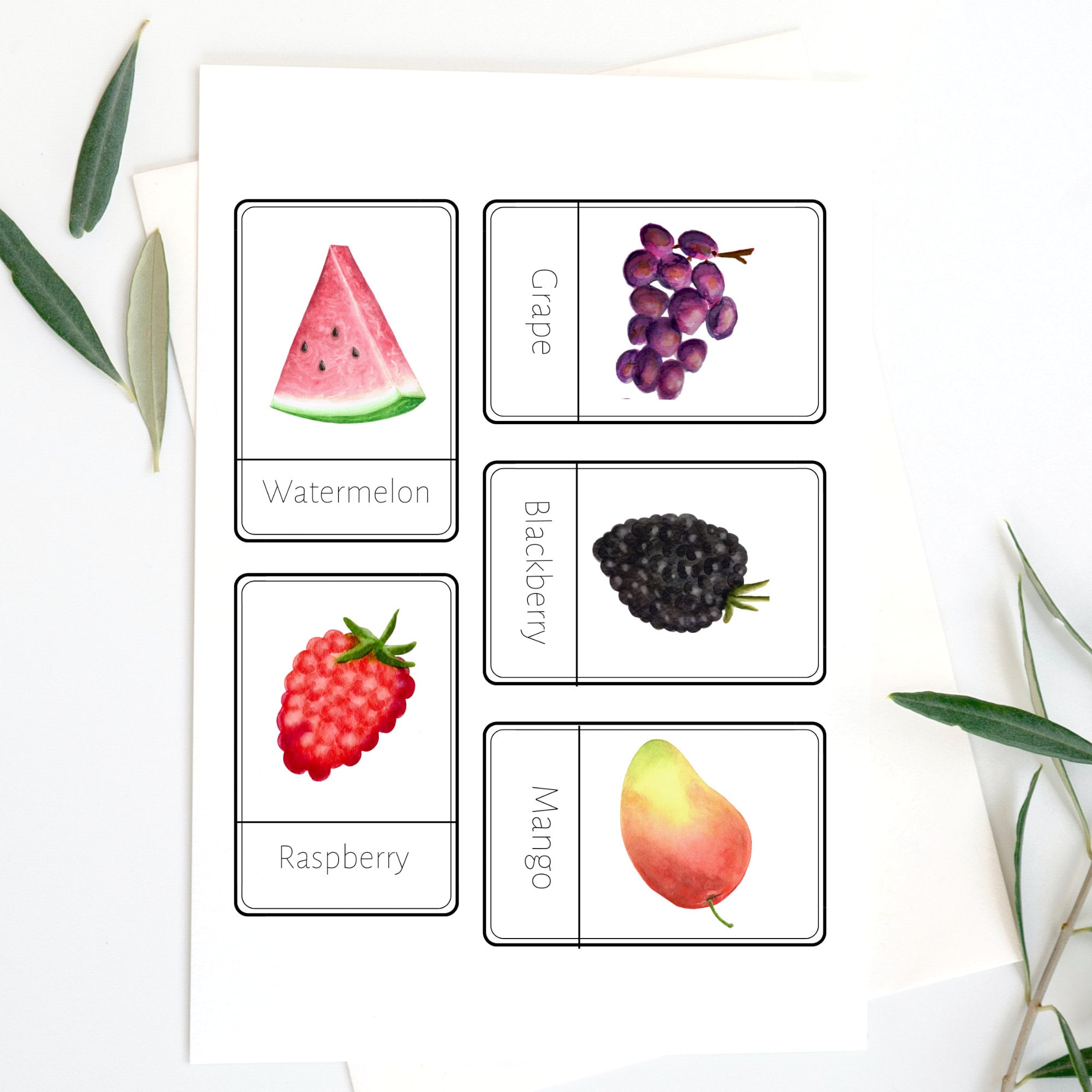 Watercolor Fruit Package- Poster, Study Card, 3 Part Card, Matching ...
