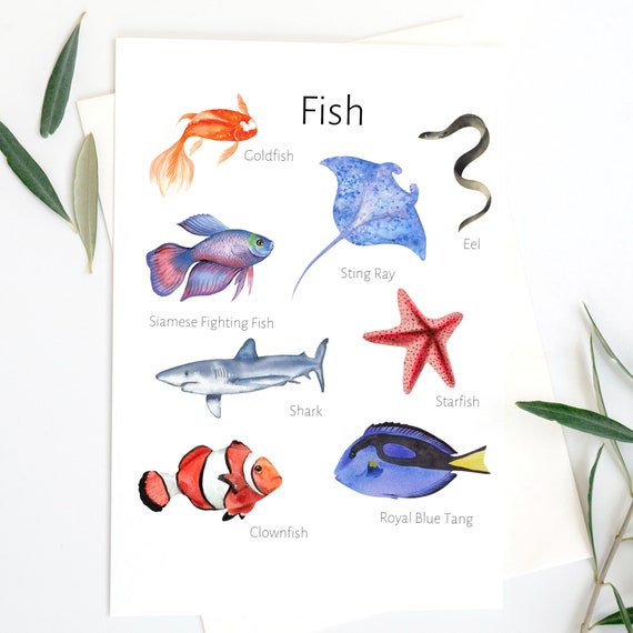 Watercolor Fish Poster Montessori Inspired Printable - Etsy