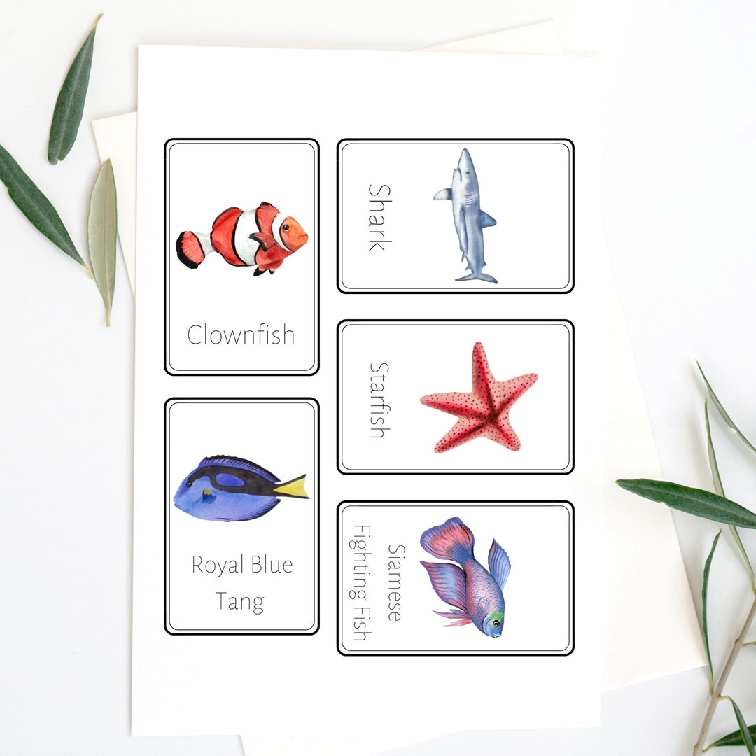 Watercolor Fish- Study Card, 3 Part Card - Montessori Inspired ...