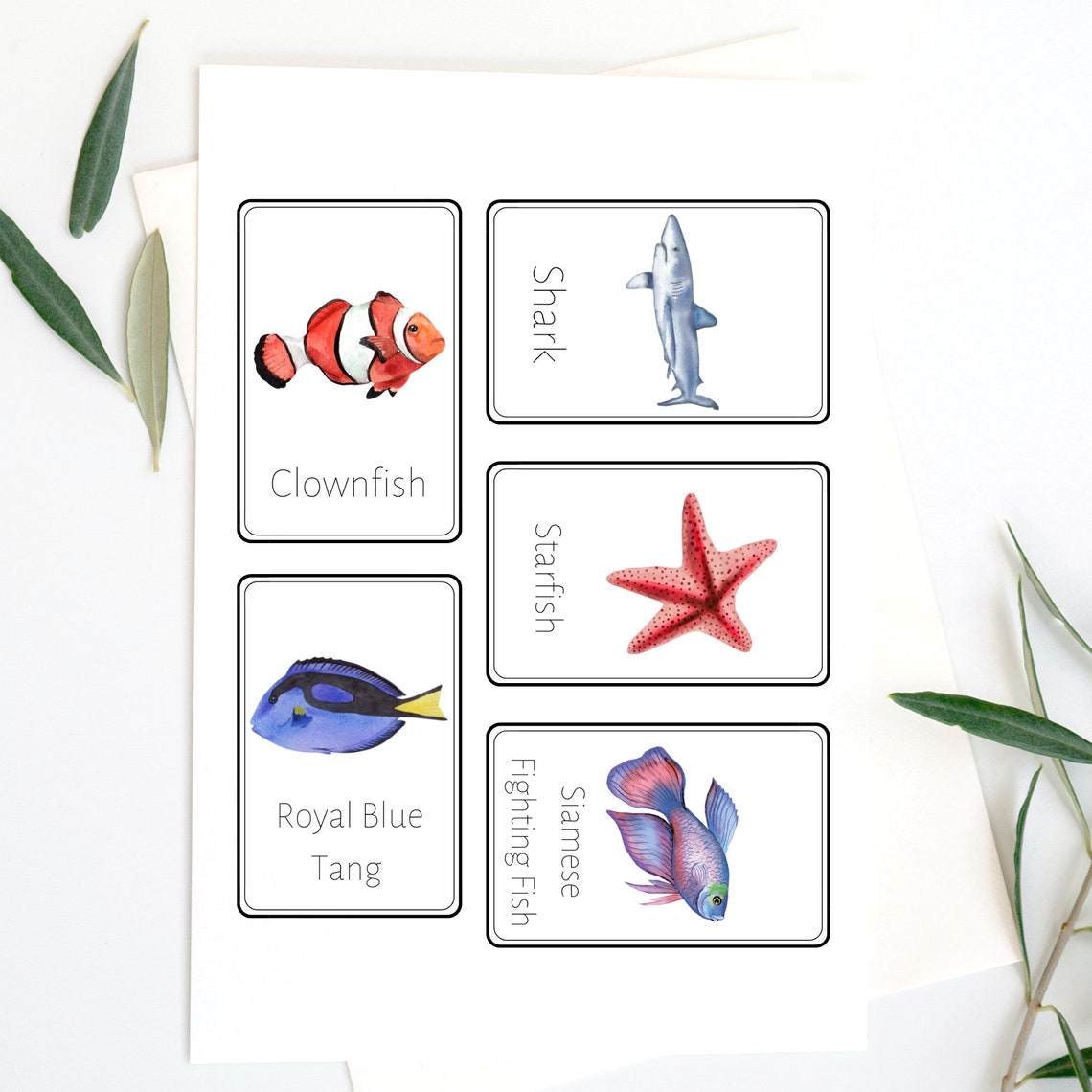 Watercolor Fish- Study Card, 3 Part Card - Montessori Inspired ...