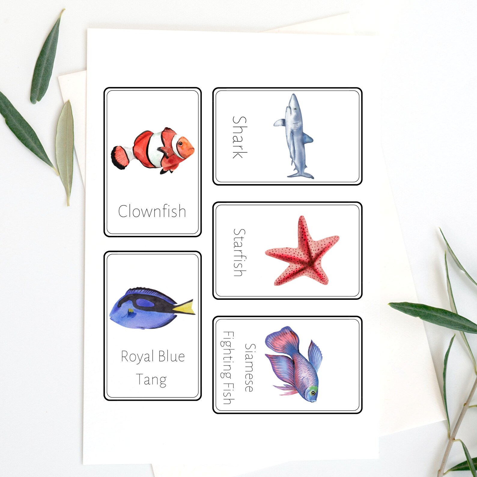 Watercolor Fish- Study Card, 3 Part Card - Montessori Inspired ...